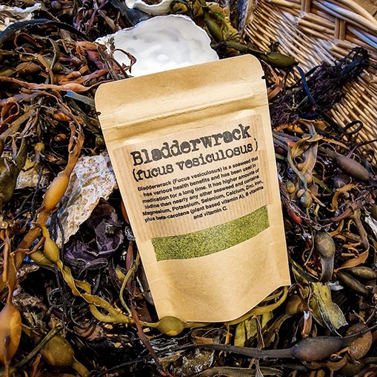 Bladderwrack - Really Wild