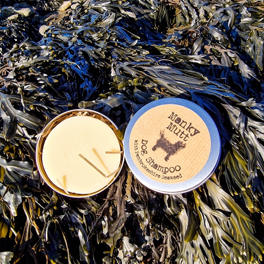 Manky Mutt Dog Shampoo - Really Wild