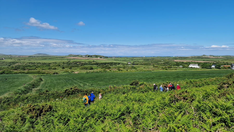 Beginner's Hedgerow Forage - Really Wild